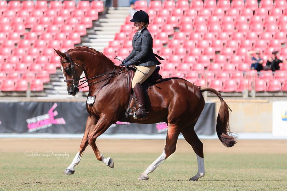 Robank Feeds – Our Passion is Equine